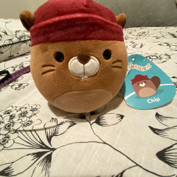 Squishmallows | Toys | Small Squishmallow Beaver | Poshmark